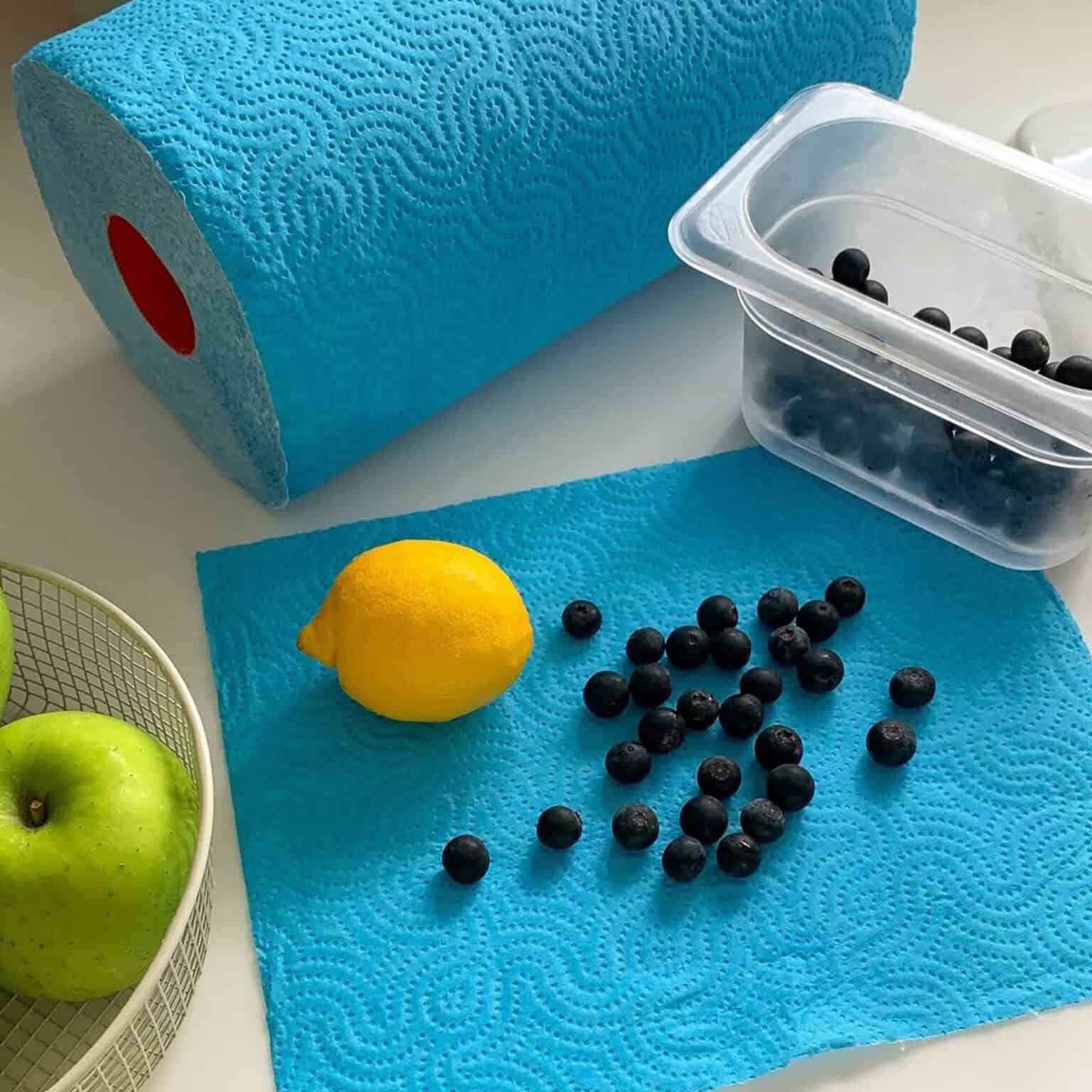 Blue Paper Towel Pack | Renova | 2-Ply Jumbo Roll