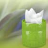 Facial Tissue Round Lime Green Box | Renova | 3-Ply Tissues